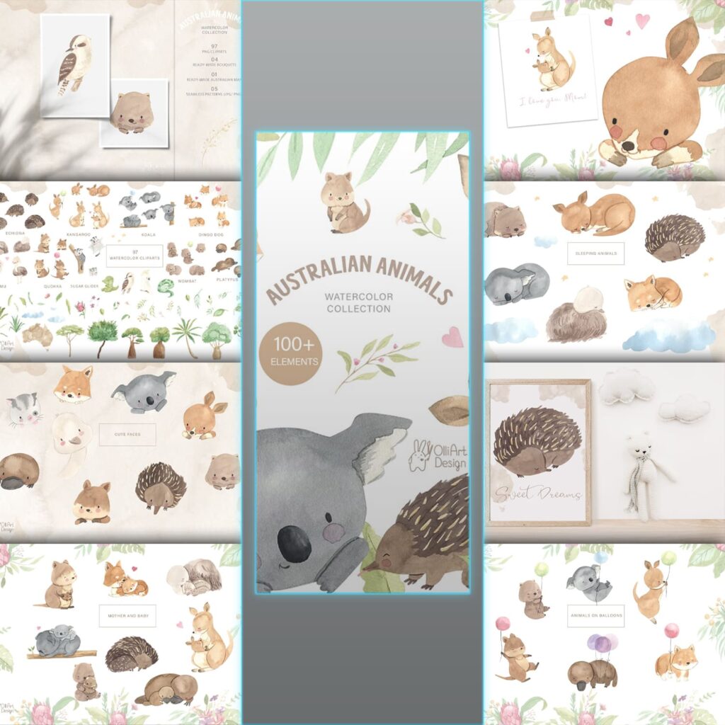 Australian Animals Watercolor Set – MasterBundles