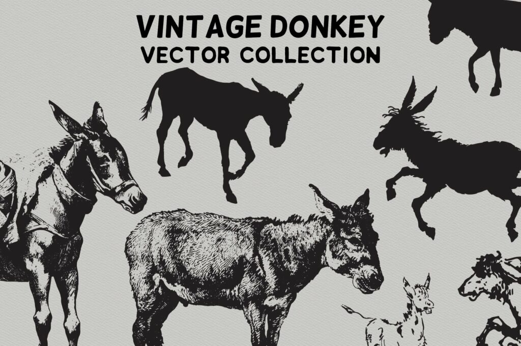 Vintage Donkeys Vector Collection – MasterBundles