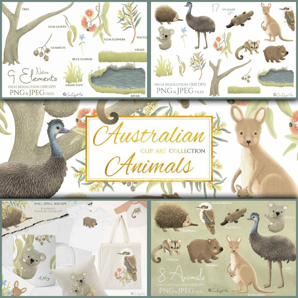 Australian Animals Clipart and Pattern – MasterBundles