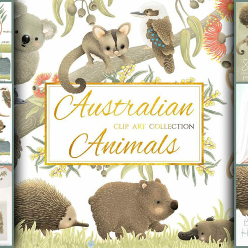 Australian Animals Collection | Master Bundles