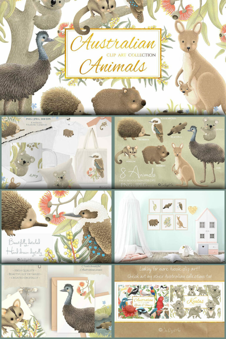 Australian Animals Collection – MasterBundles