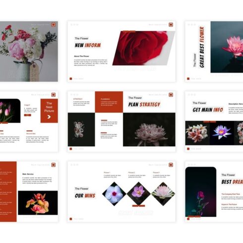 Flower Bloom - Powerpoint Template | MasterBundles