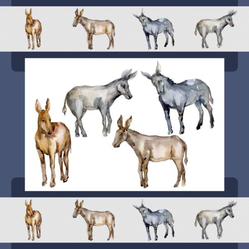 Agriculture Donkey Watercolor PNG – MasterBundles