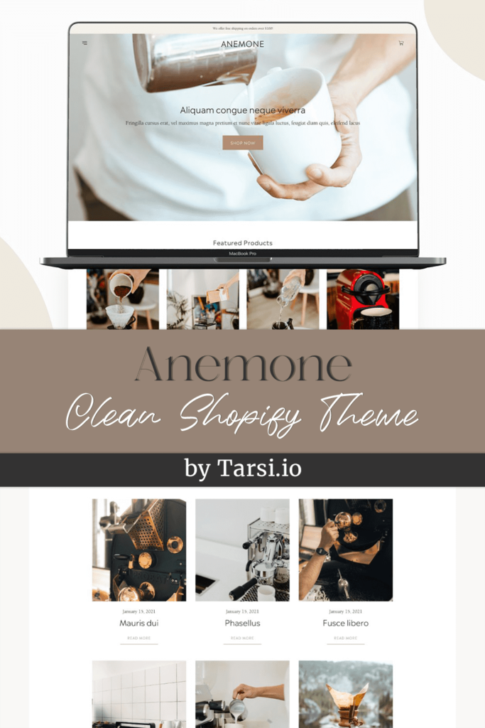 Anemone - Clean Shopify Theme – MasterBundles