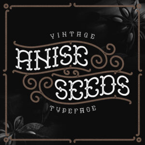Anise Seeds Typeface - MasterBundles