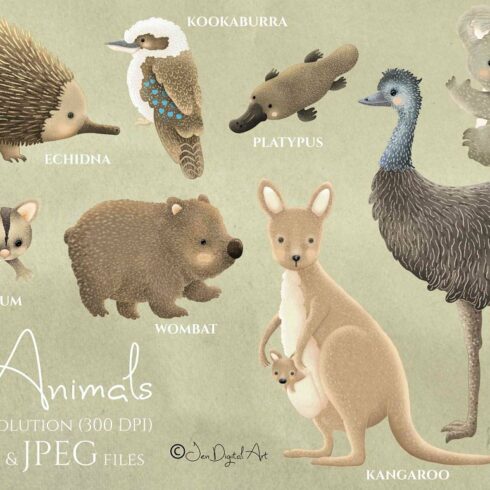 Australian Animals Collection | Master Bundles