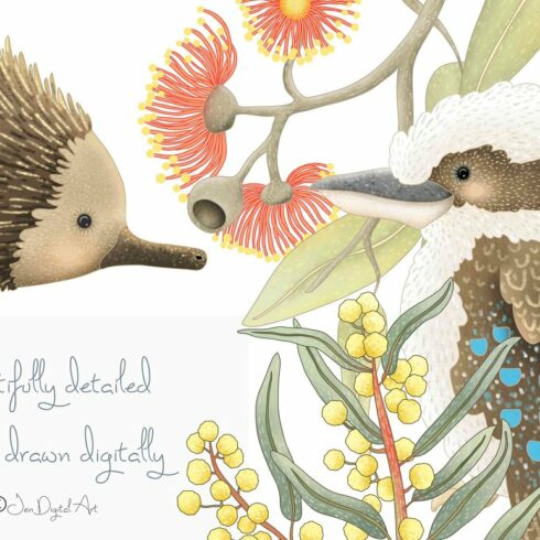 Australian Animals Collection | Master Bundles