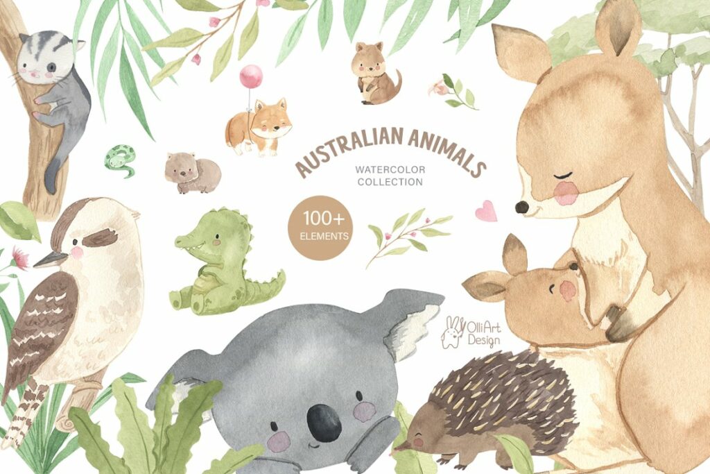 Australian Animals Watercolor Set – MasterBundles