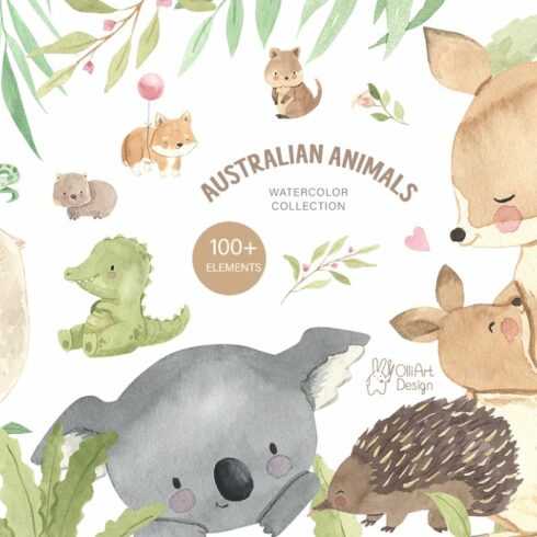 Australian Animals Watercolor Set | Master Bundles