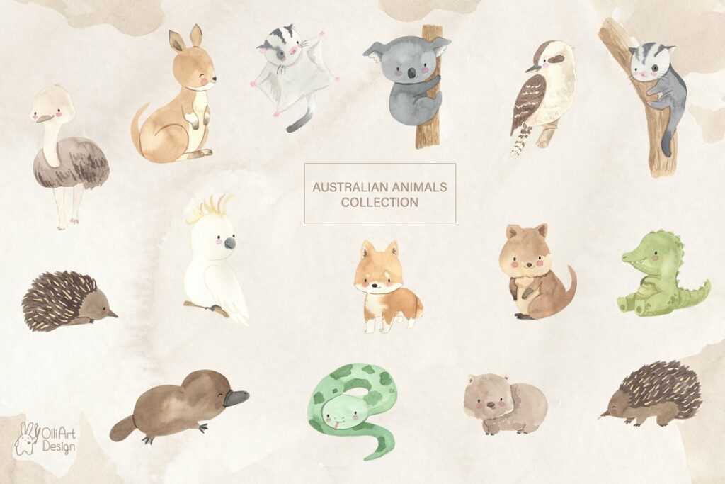 Australian Animals Watercolor Set – MasterBundles