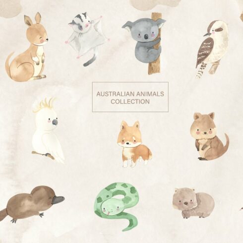 Australian Animals Watercolor Set | Master Bundles