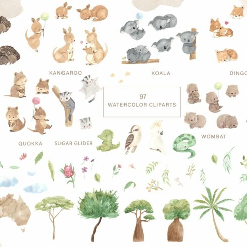 Australian Animals Watercolor Set | Master Bundles