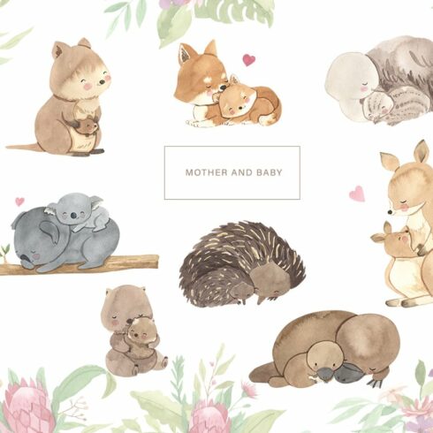 Australian Animals Watercolor Set | Master Bundles