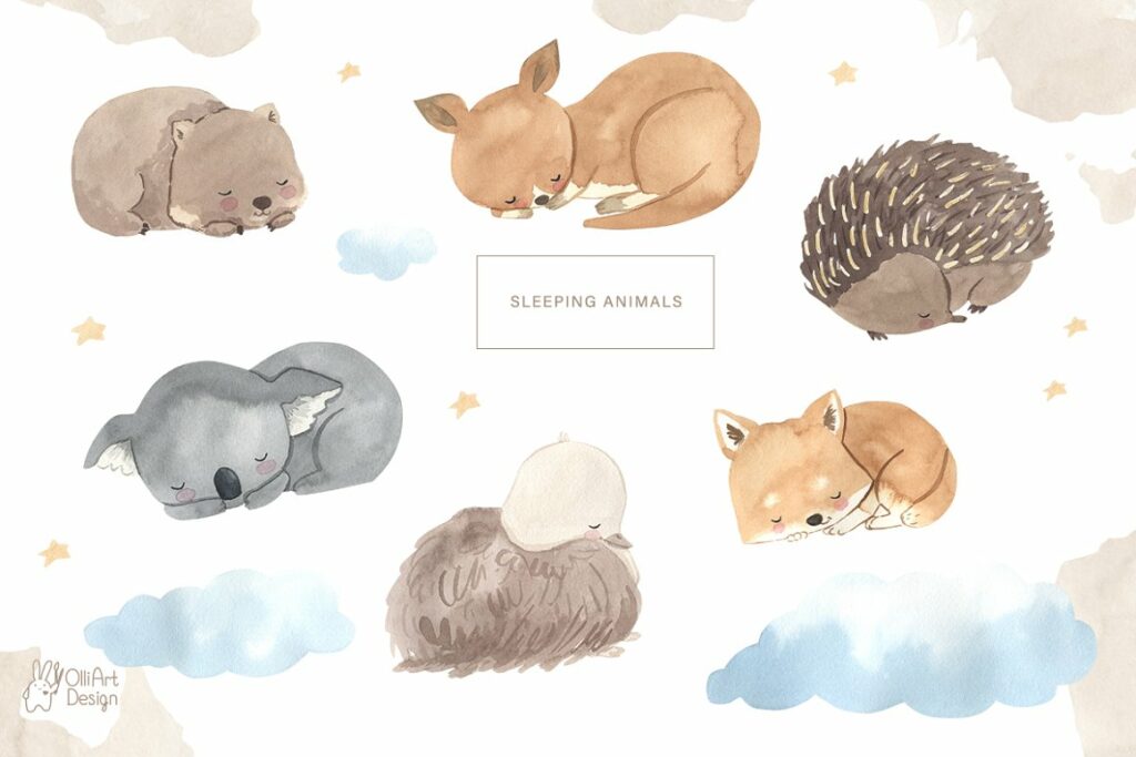 Australian Animals Watercolor Set – MasterBundles