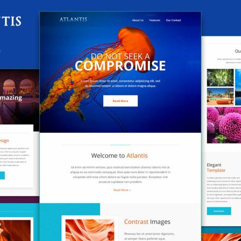 Bigpack 1 Email-Template Bundle | Master Bundles