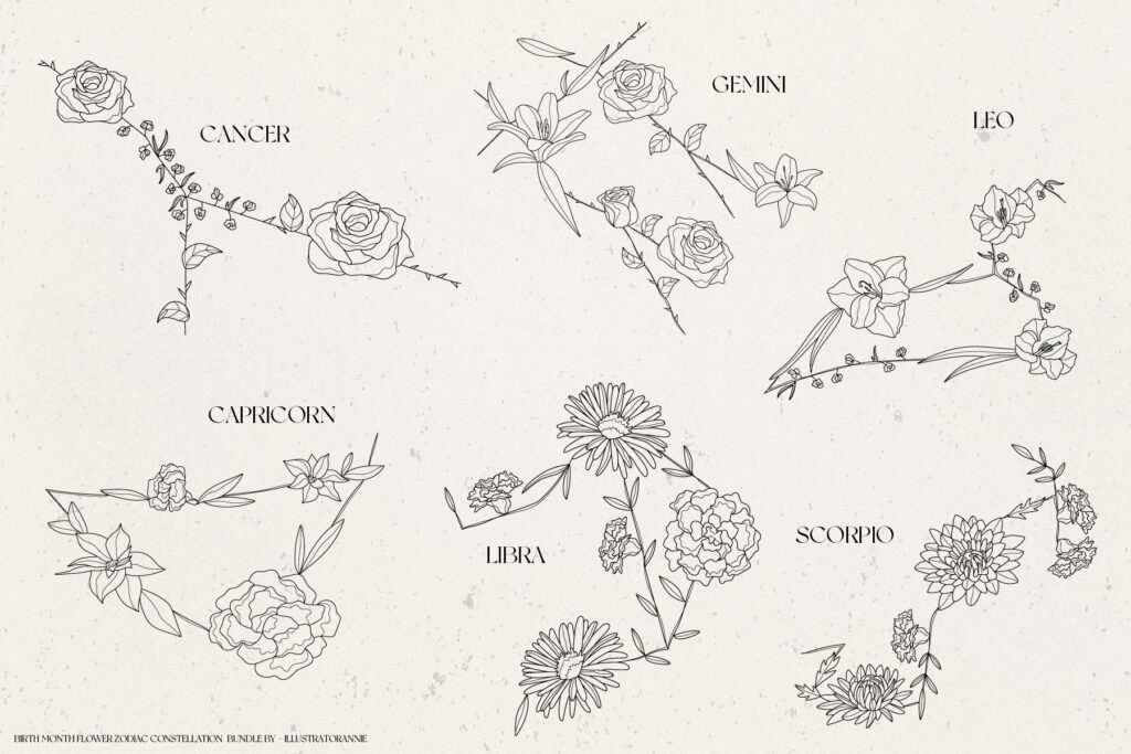 Birth Month Zodiac Constellations – MasterBundles