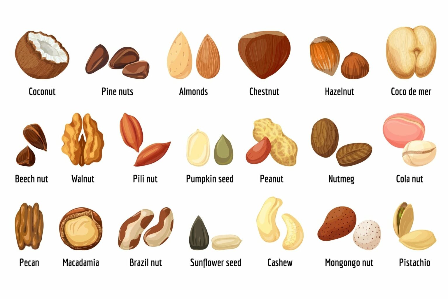 Nut Icons Set, Cartoon Style – MasterBundles