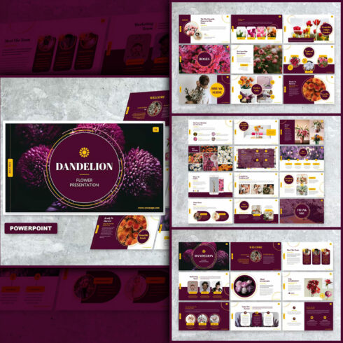 Dandelion - Powerpoint Template – MasterBundles