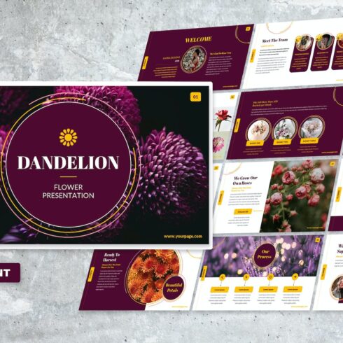 Dandelion - Powerpoint Template | Master Bundles