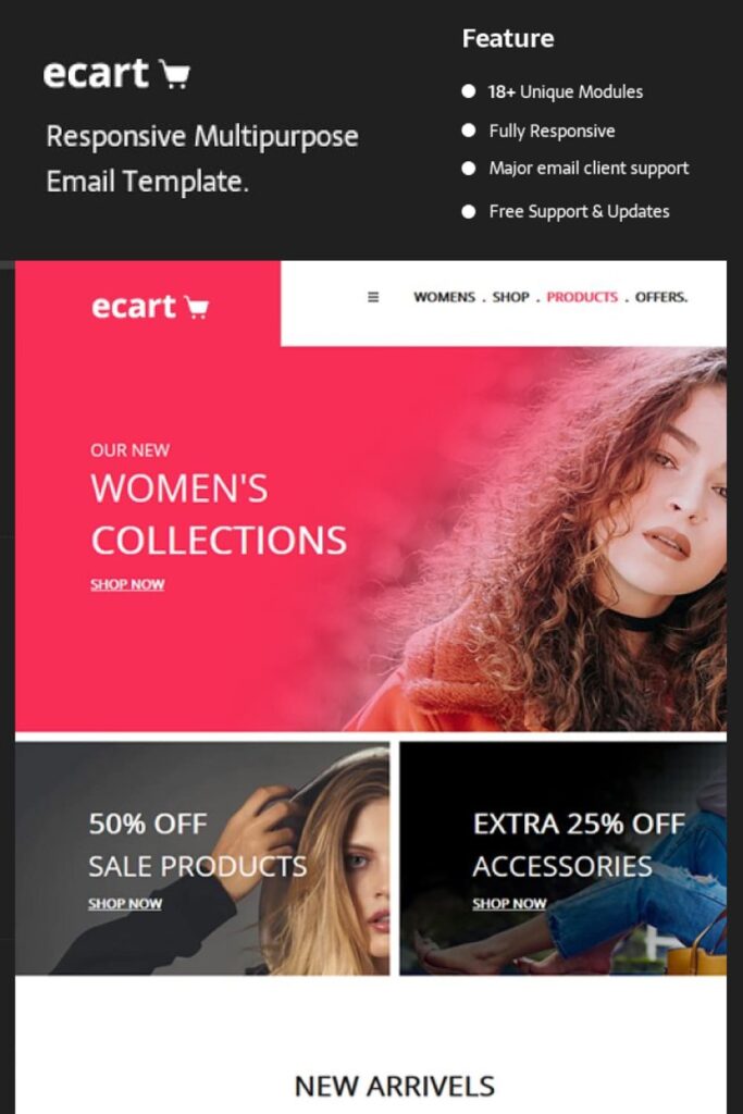 Ecart 2 - Ecommerce Email Template – MasterBundles