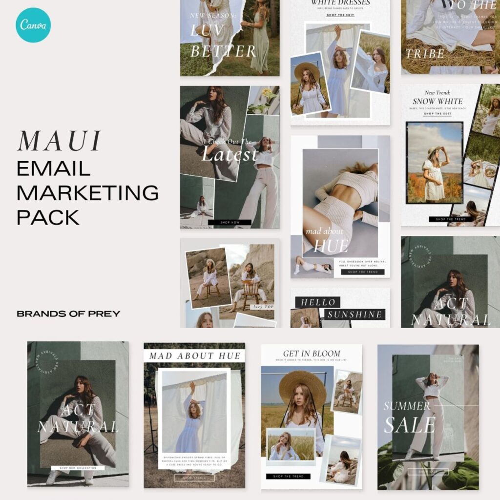 Email Marketing Bundle for Canva – MasterBundles