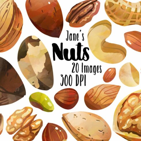 Watercolor Nuts Clipart | Master Bundles