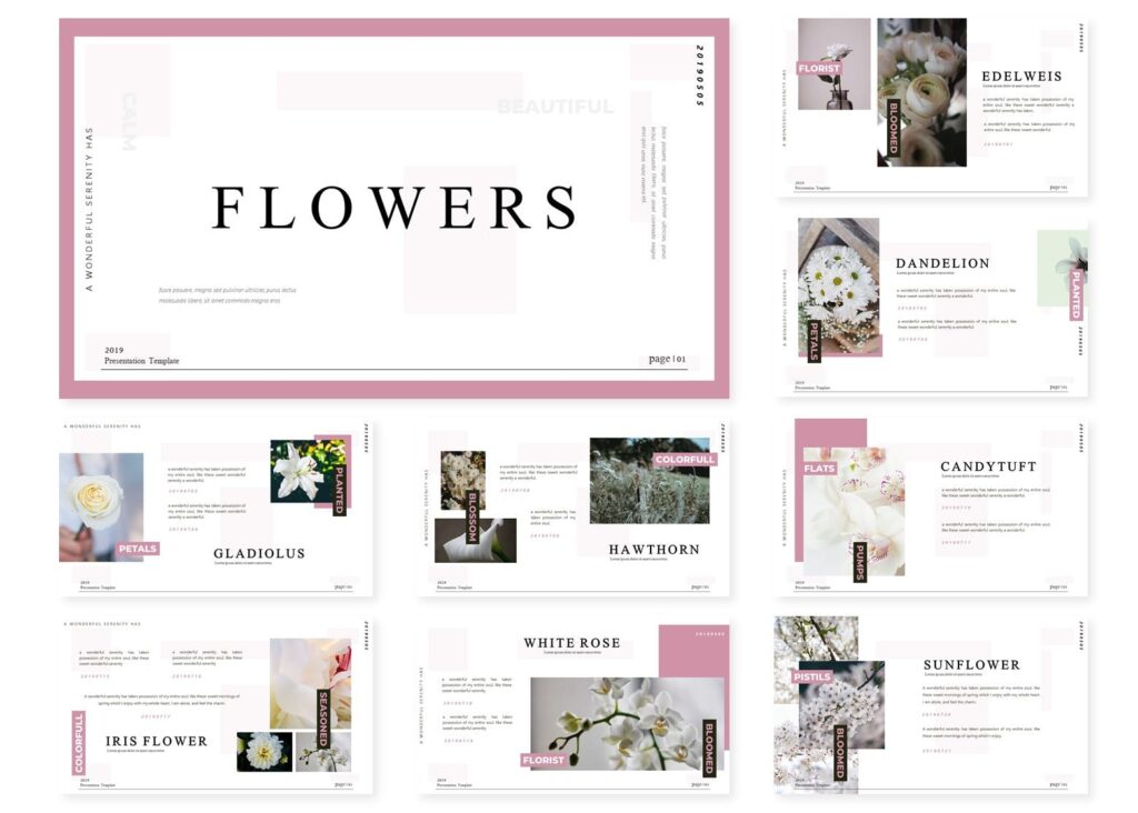 Flowers | Powerpoint Template – MasterBundles