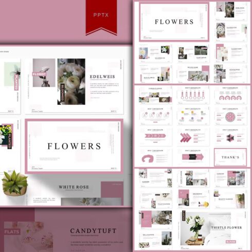 Flowers | Powerpoint Template – MasterBundles