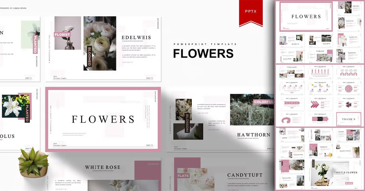 Flowers | Powerpoint Template – MasterBundles
