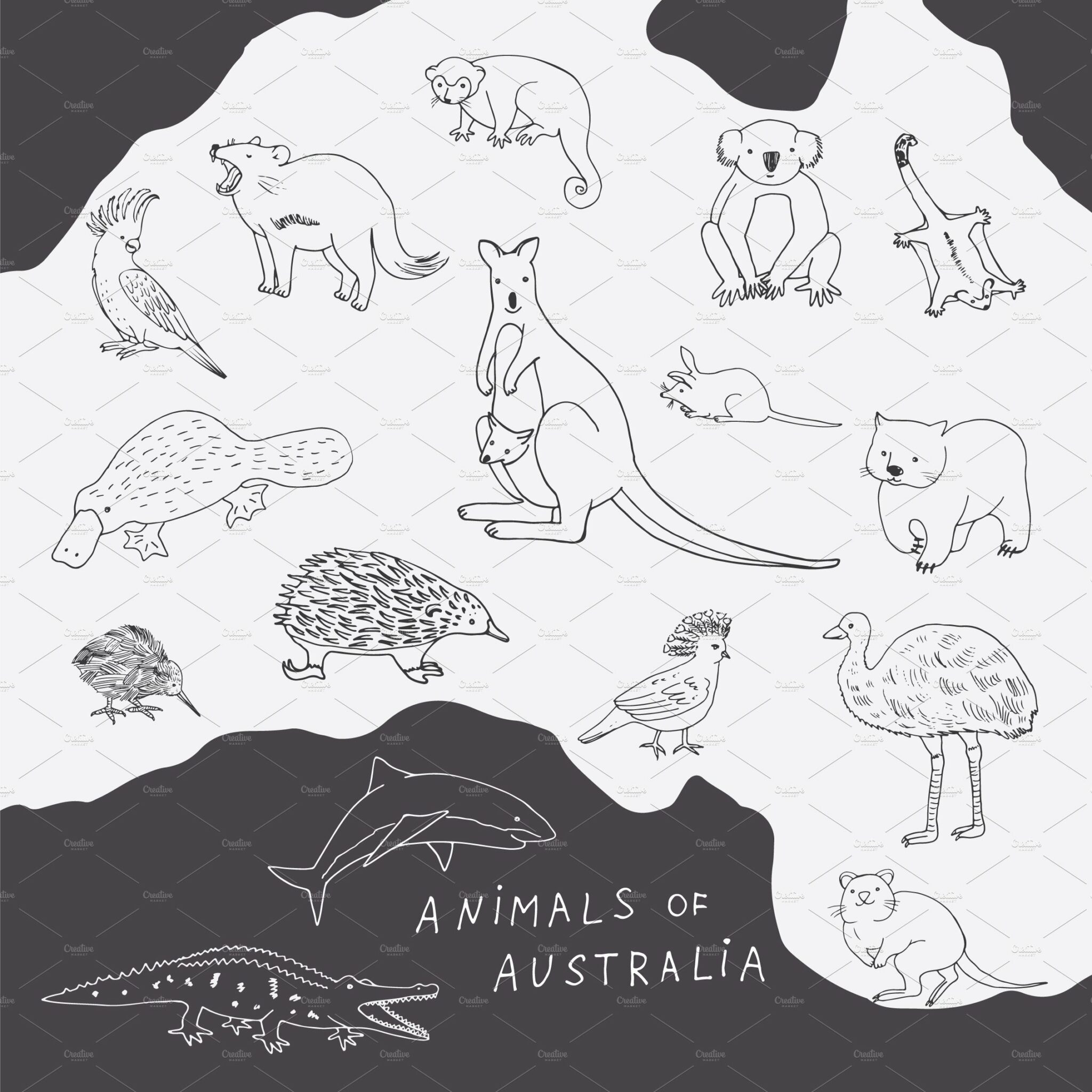 Australian Animals – MasterBundles