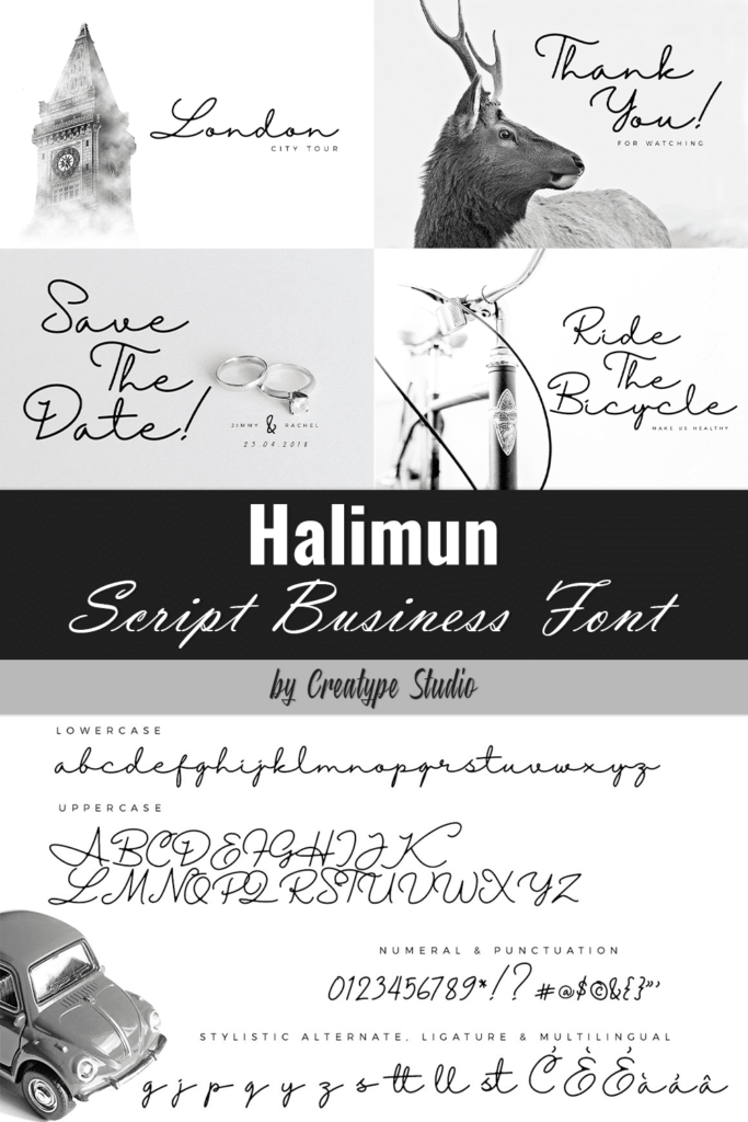 Halimun Script Business Font – MasterBundles
