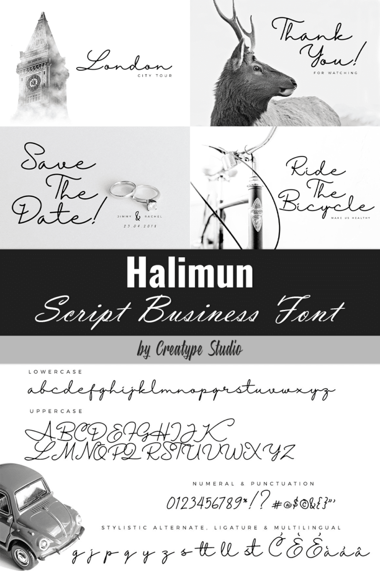 Halimun Script Business Font – MasterBundles