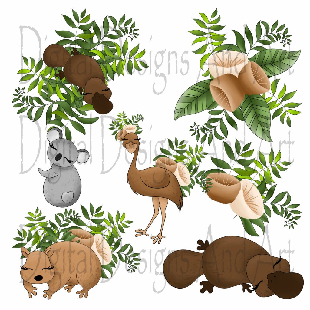 Australia Animals Clipart – MasterBundles