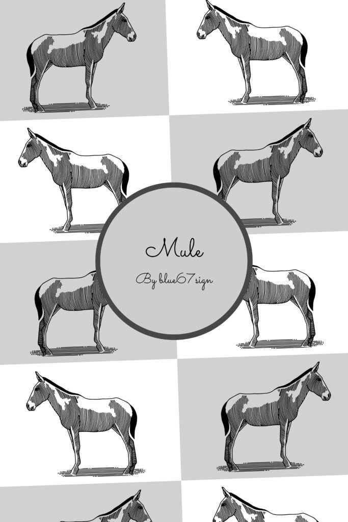 Mule Clipart Drawing Image – MasterBundles
