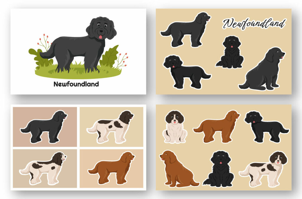 12 Newfoundland Dog Illustration - MasterBundles