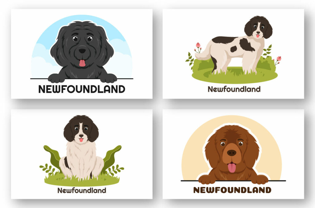 12 Newfoundland Dog Illustration - MasterBundles