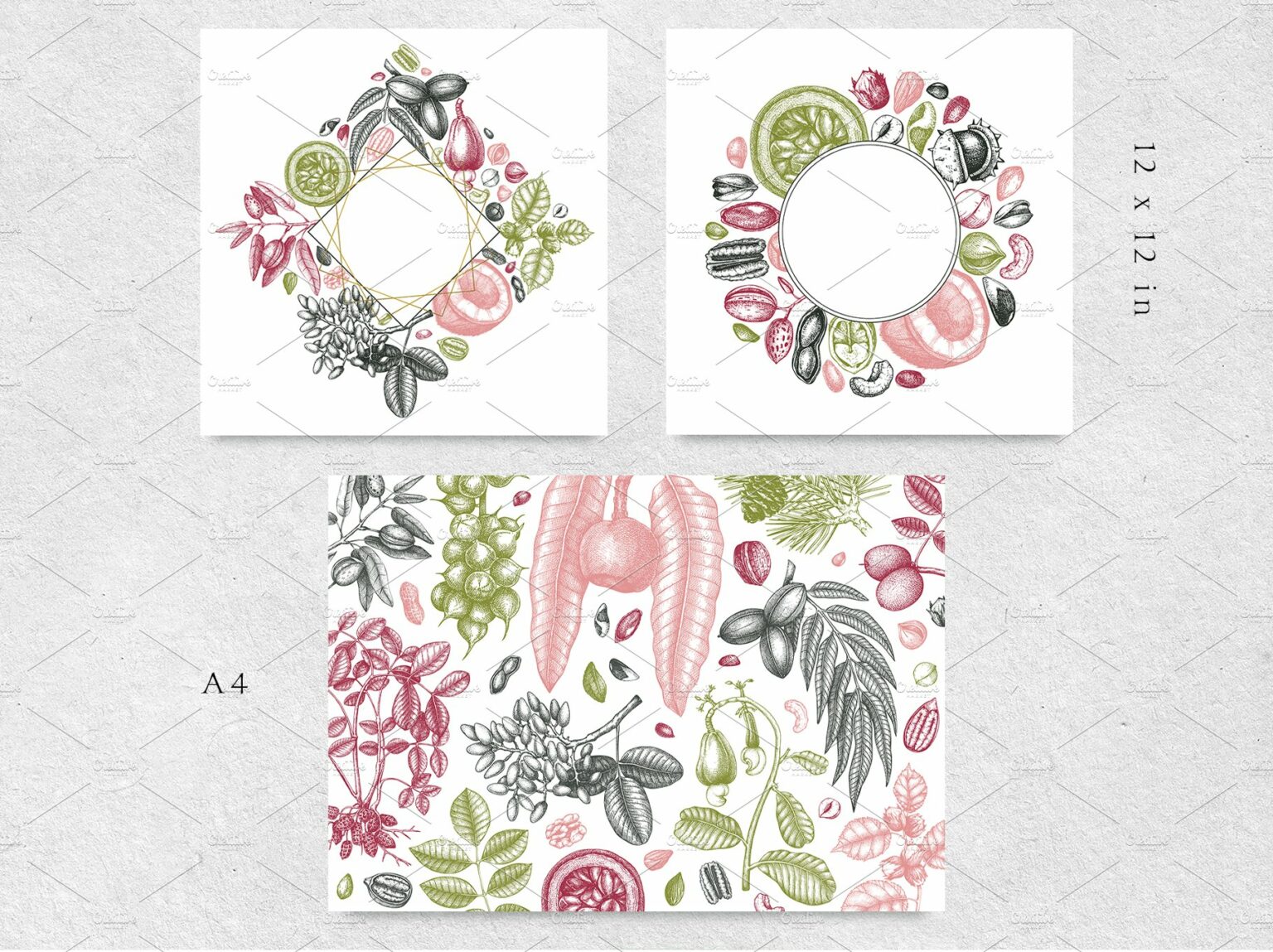 Nut Sketches. Vector Set – MasterBundles