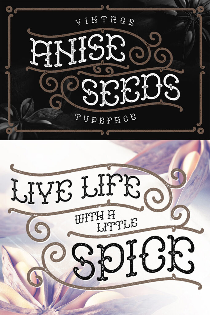Anise Seeds Typeface - MasterBundles