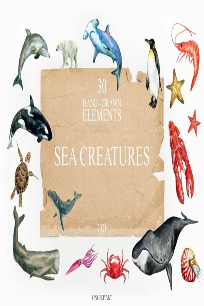 Watercolor Sea Creatures | MasterBundles