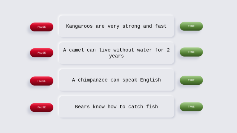 Powerpoint Game Templates For Teachers – MasterBundles