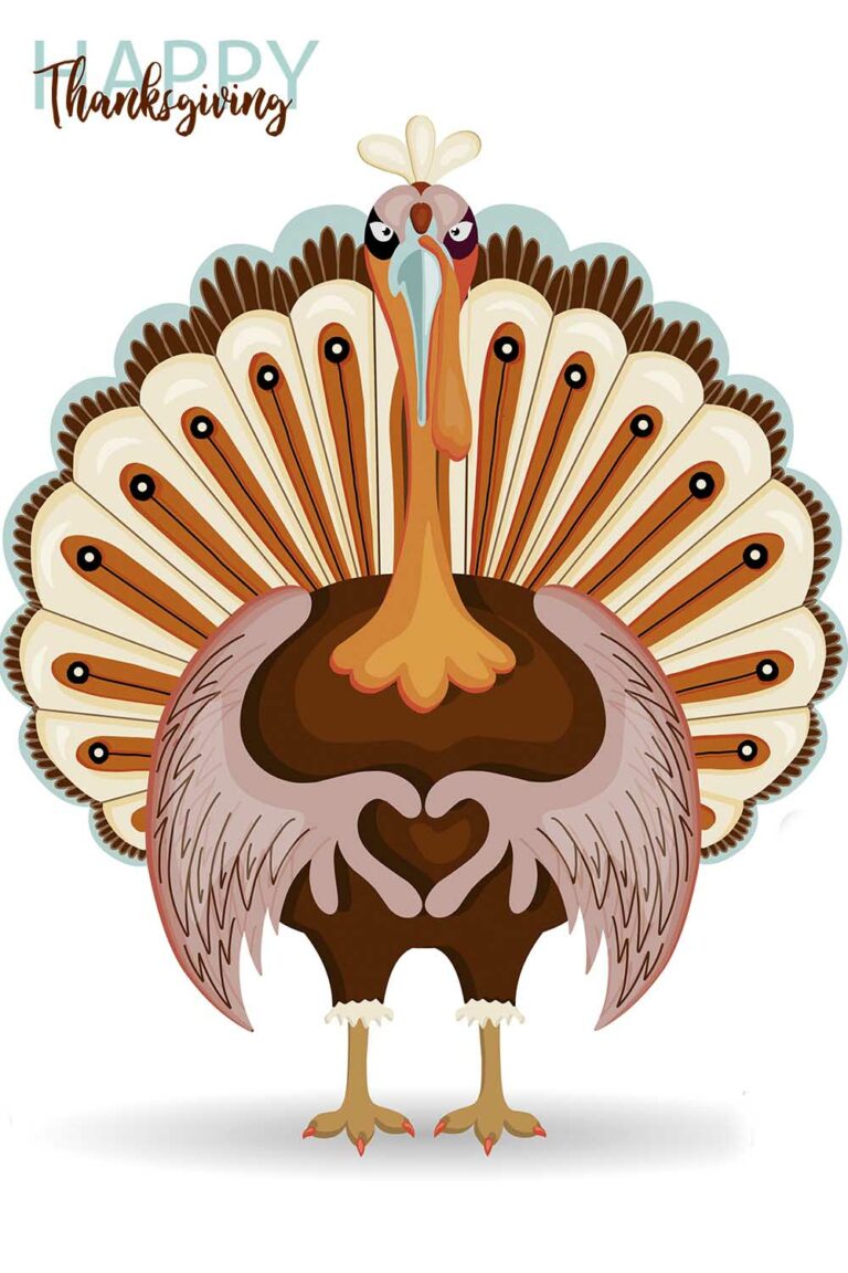thanksgiving turkey PNG|sublimation turkey|t-shirt printing ...