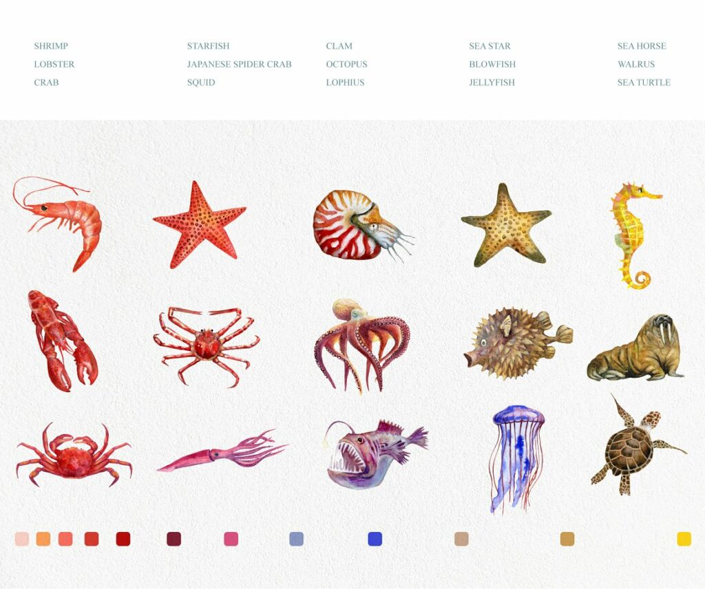 Watercolor Sea Creatures - MasterBundles