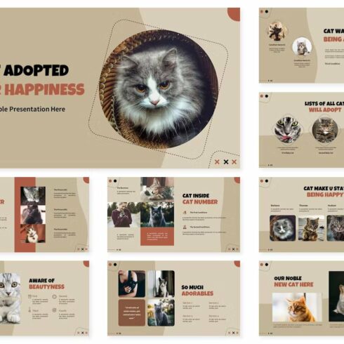 Cat Adopted For Happiness | Google Slides Template | Master Bundles