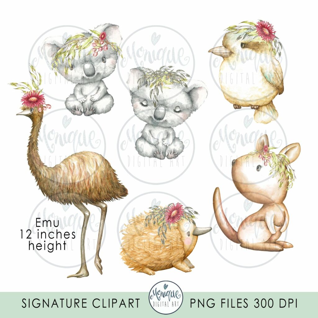 Australian Animals Clipart Watercolor – MasterBundles
