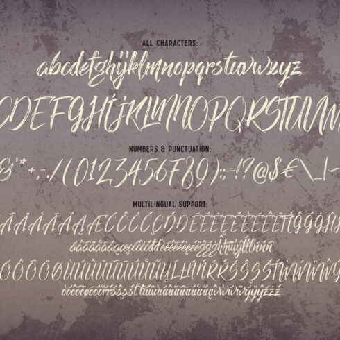 Limber Script & Mockups - MasterBundles