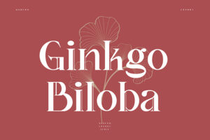 Modern Luxury Font Serif Shirley - MasterBundles