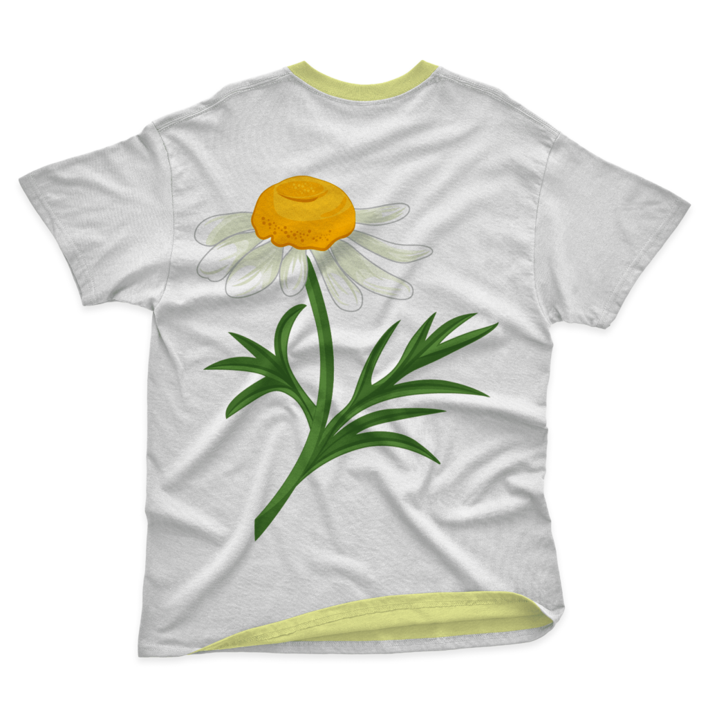 Simple Daisy T-shirt Designs Bundle – MasterBundles