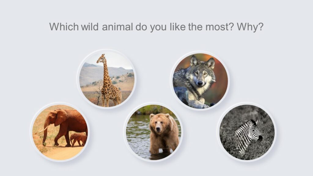 Powerpoint Game Templates For Teachers – MasterBundles