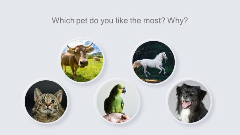 Powerpoint Game Templates For Teachers – MasterBundles