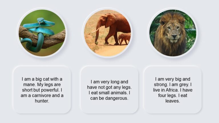 Powerpoint Game Templates For Teachers – MasterBundles